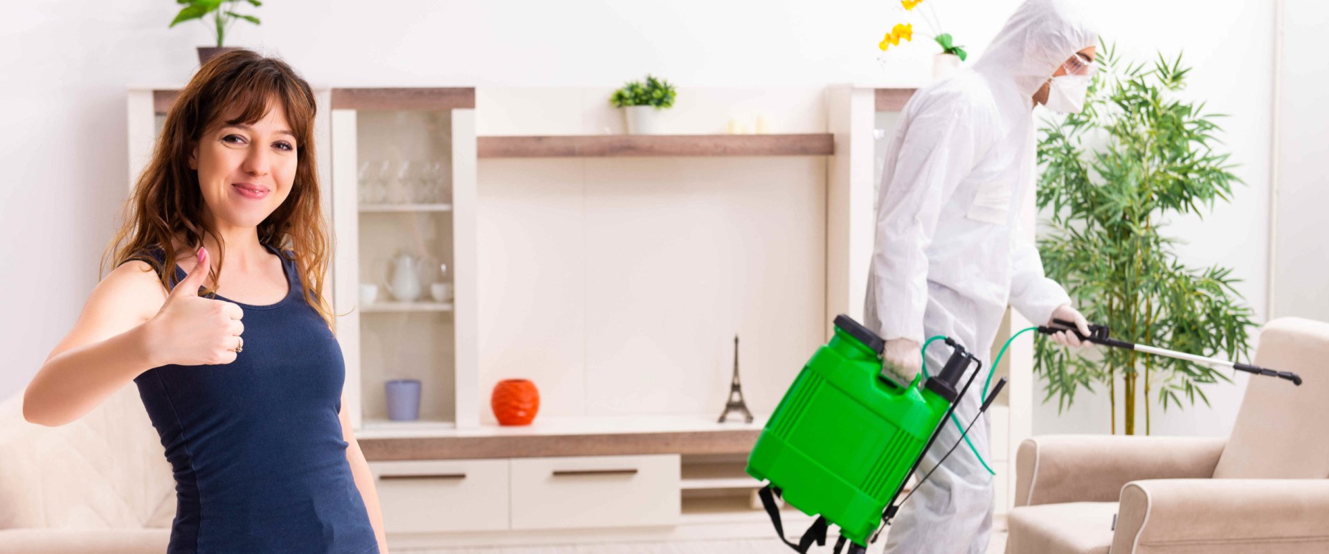 Is interior pest control safe?