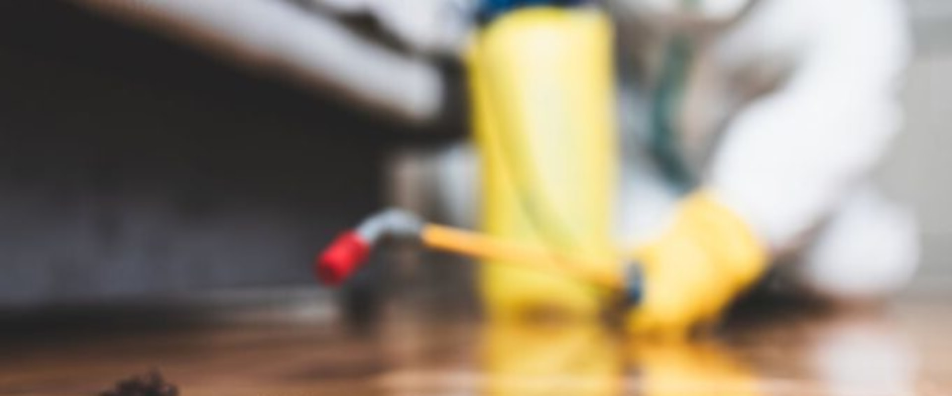 What time of year is best for pest control?